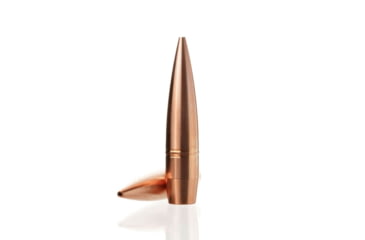 Cutting Edge Bullets Match Tactical Hunting .416 Caliber 420 Grain ...