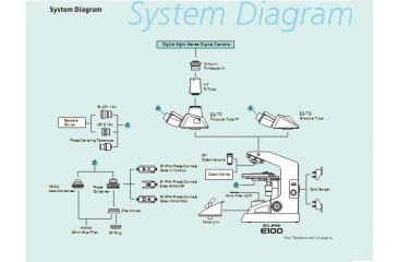 Nikon Instruments Eclipse E 100 Advanced Biological Trinocular Phase ...
