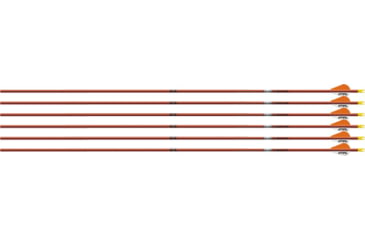 Easton 5mm Autumn Orange FMJ 400 Arrows w/2in Bully Vanes | Free ...