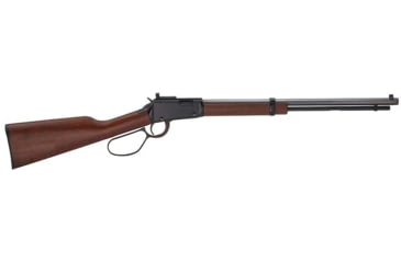 Buy Henry Repeating Arms Small Game Lever Action Rifle, .22 Winchester ...