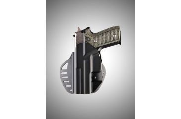 Hogue Powerspeed PS-C14 Concealed Carry Holster for Sig Sauer P228 ...