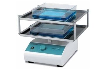 Labnet ProBlot 25 and 25XL Rockers | Free Shipping over $49!