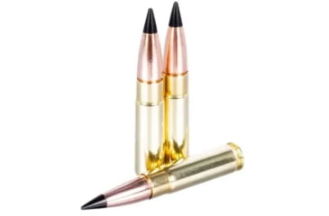 Lehigh Defense 300 Blackout 110 Grain Tipped Maximum Expansion Brass ...