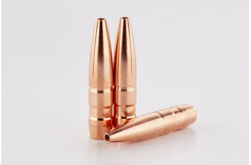 Lehigh Defense Maximum Expansion .300 AAC Blackout 194 Grain Hollow ...