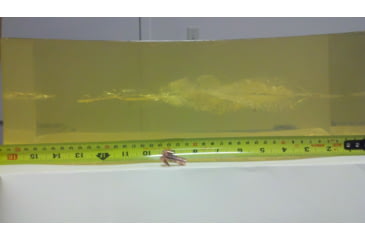 Lehigh Defense Maximum Expansion .300 AAC Blackout 194 Grain Hollow ...