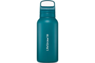 LifeStraw Go Series Stainless Steel 1 L Water Bottle w/Filter | Free ...