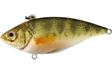 Live Target Yellow Perch Rattlebait | Up to 39% Off Free Shipping over $49!