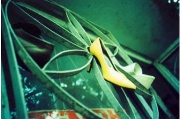 Lomographic Color Splash Camera, White | Free Shipping over $49!