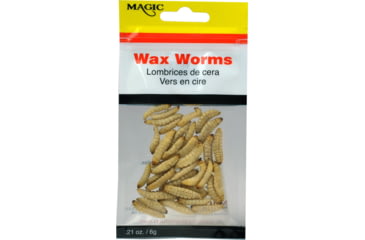 Magic Preserved Wax Worms | Free Shipping over $49!