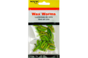 Magic Preserved Wax Worms | Free Shipping over $49!