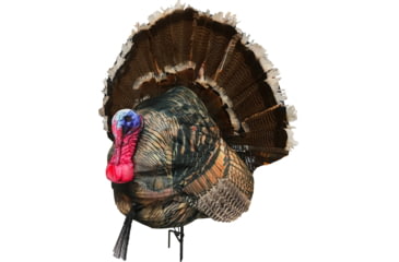 Montana Decoy Co. Wiley Tom 3D Turkey Decoy | $2.00 Off w/ Free ...