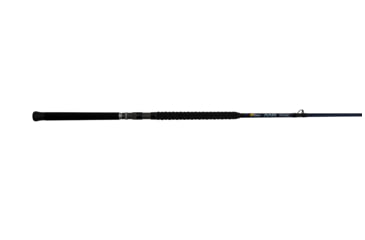 Phenix Axis, Casting Rod, 30-80#, Fast, 1 Pieces | Free Shipping over $49!