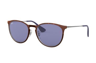 Ray-Ban Erika Metal RB3539 Sunglasses | Free Shipping over $49!