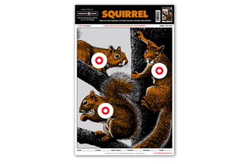 Thompson Target Life-Size Squirrel 12.5x19 Paper Hunting Targets | Up ...