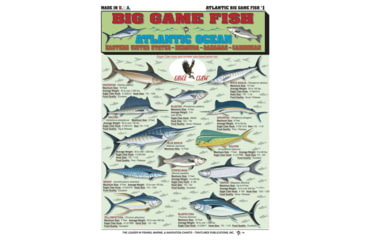 Tightlines Bait Rigging Charts | Up to 30% Off Free Shipping over $49!