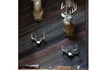 Wicked North Gear The Change Up Antler Display Kit | Free Shipping over ...