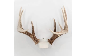Wicked North Gear The Change Up Antler Display Kit | Free Shipping over ...