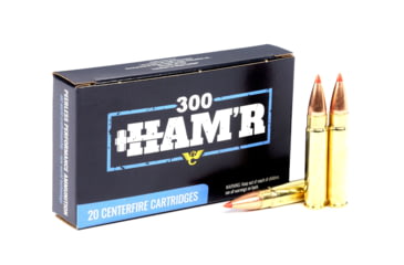 Wilson Combat Hornady V-MAX 300 HAM'R 110 Grain Brass Cased Rifle ...