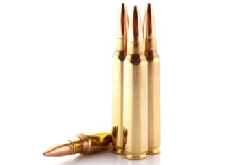 Wilson Combat Sierra .223 Remington 77 Grain Matchking Hollow Point ...