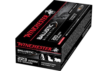 Winchester Ballistic Silvertip .223 Winchester Super Short Magnum 55 ...