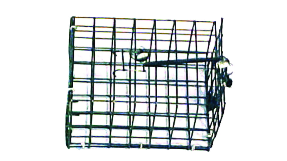 Willapa Crab Cage/Bait Box | Free Shipping over $49!