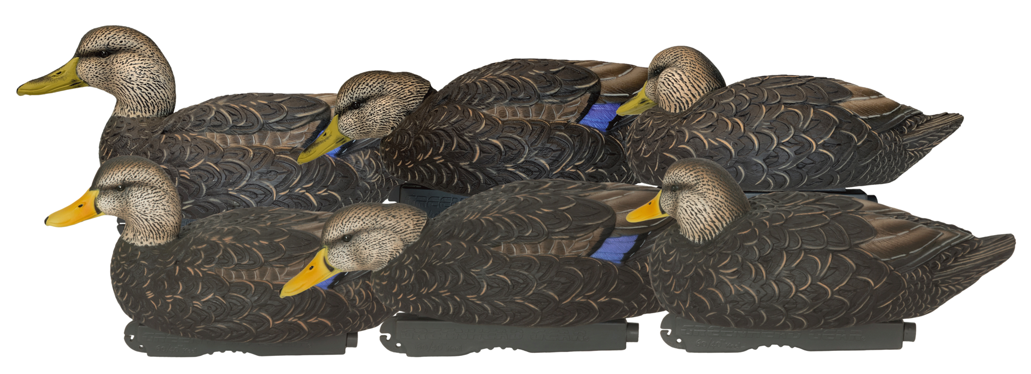 Avery Outdoors PG XD Series Ducks - Harvester Pack, 1/2 Dozen Review - The Civil War