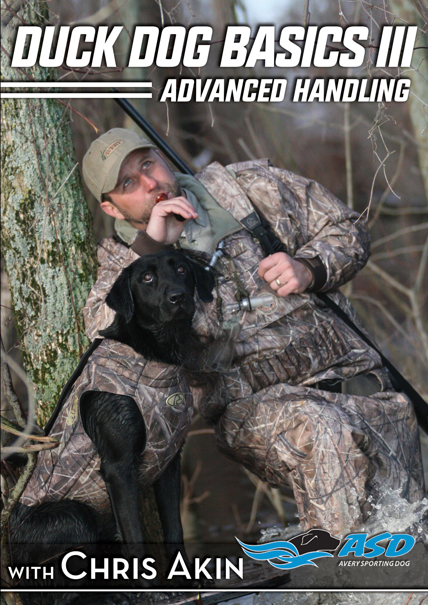 Avery Sporting Dog Duck Dog Basics 3 Instructional Video / DVD Review ...