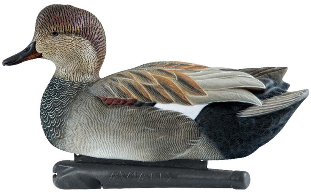 Avian X Power Swimmer Duck Decoy Review - Gun Values Board