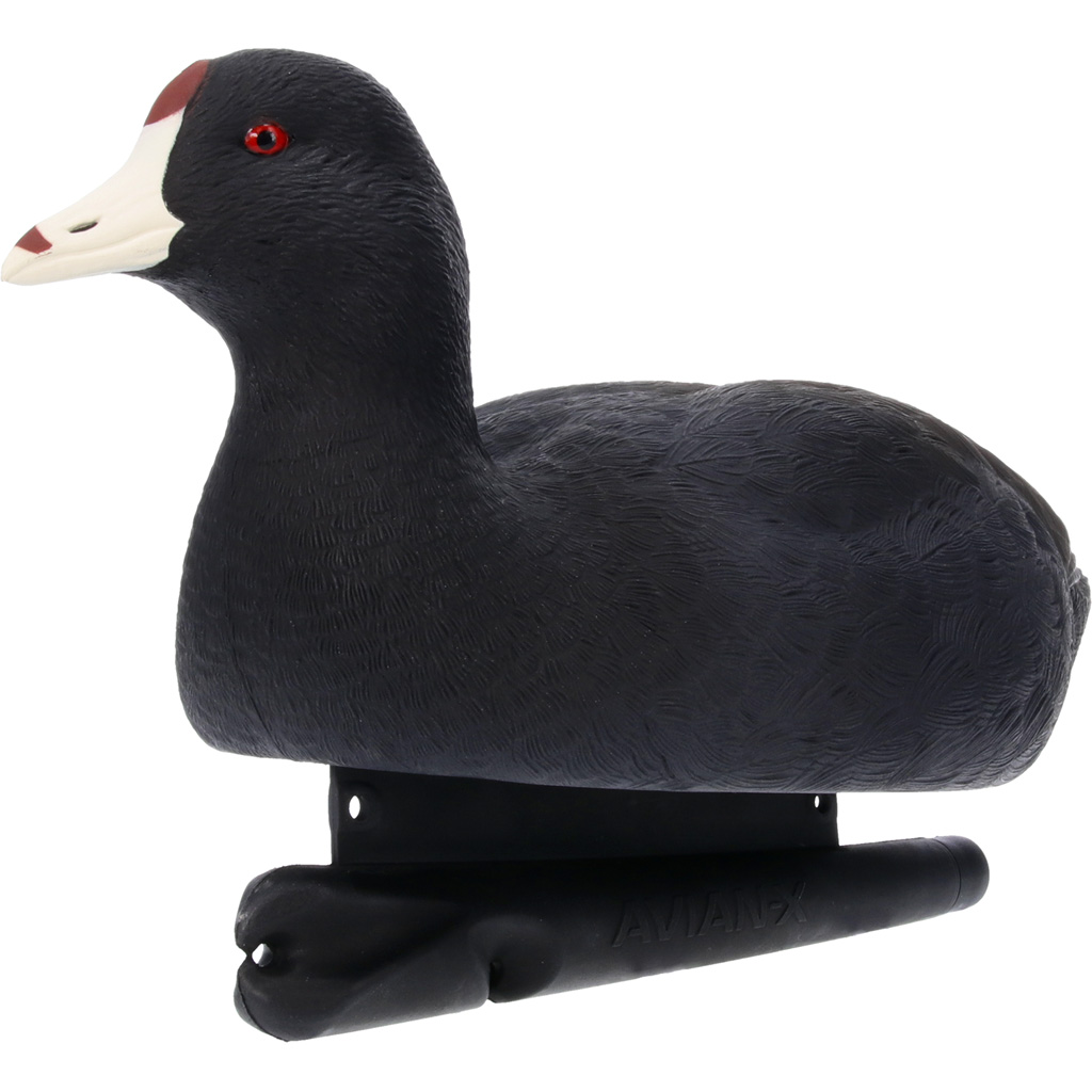 Avian X Topflight Floating Decoy Review - The Civil War