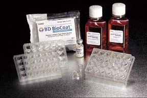 Corning BioCoat HTS Caco-2 Assay System 354803 - Culture Insert One ...