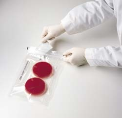 BD GasPak EZ Pouch System 260685 Campy Microaerophilic Review - The ...