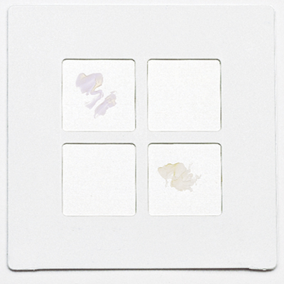 BD Diagnostics 231746 DrySlide Oxidase Test Slides, Pack of 75 Review ...