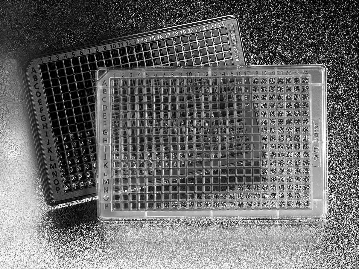 BD Plate Assay 384W 353961 Review - The Civil War