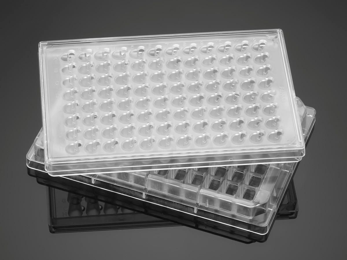 Corning Tumor Inv Sys 96w Corning Biocoat 354167 Review - Gun Values Board