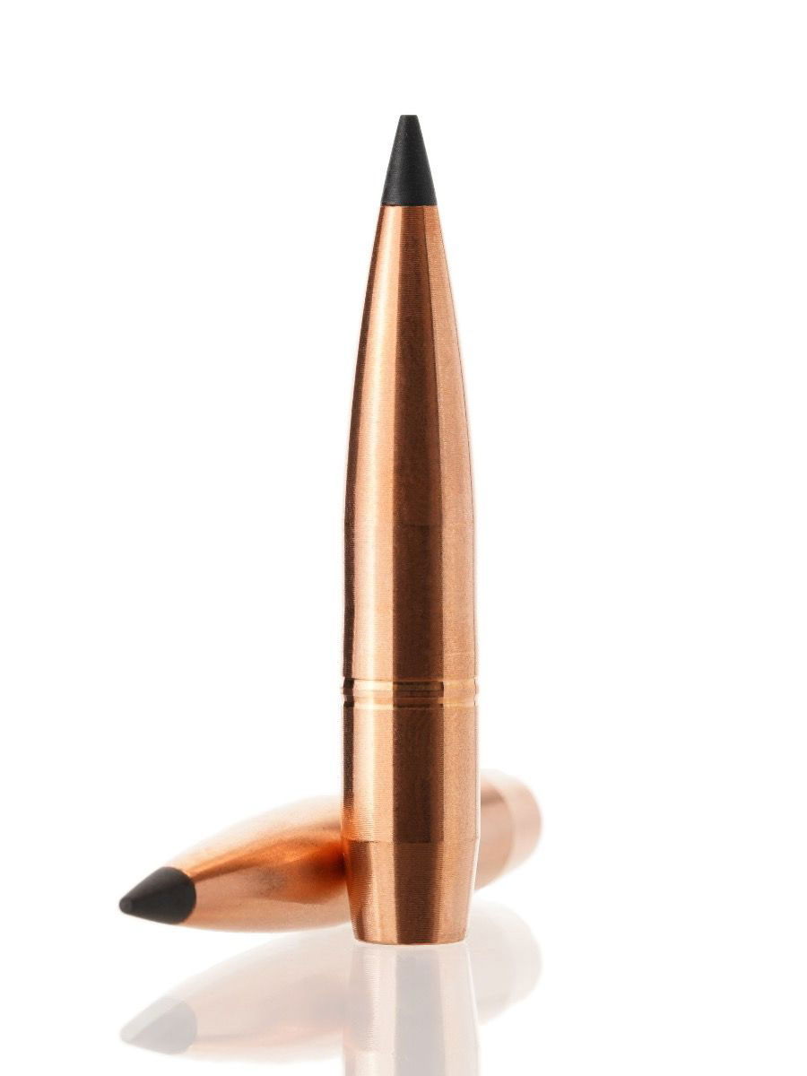 Cutting Edge Bullets .338 Caliber 275 Grain Solid Copper HP Rifle ...