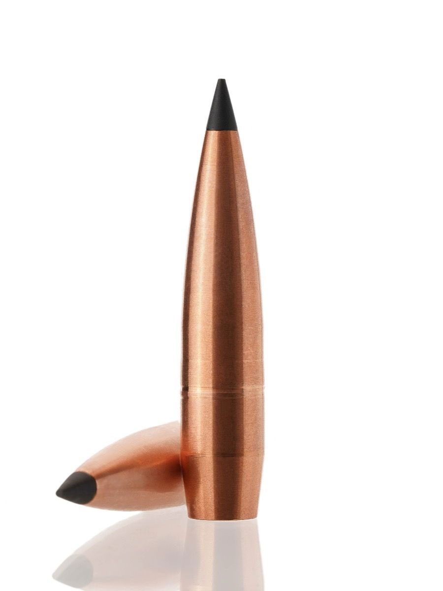 Cutting Edge Bullets .408 Caliber 450 Grain Solid Copper Hollow Point ...