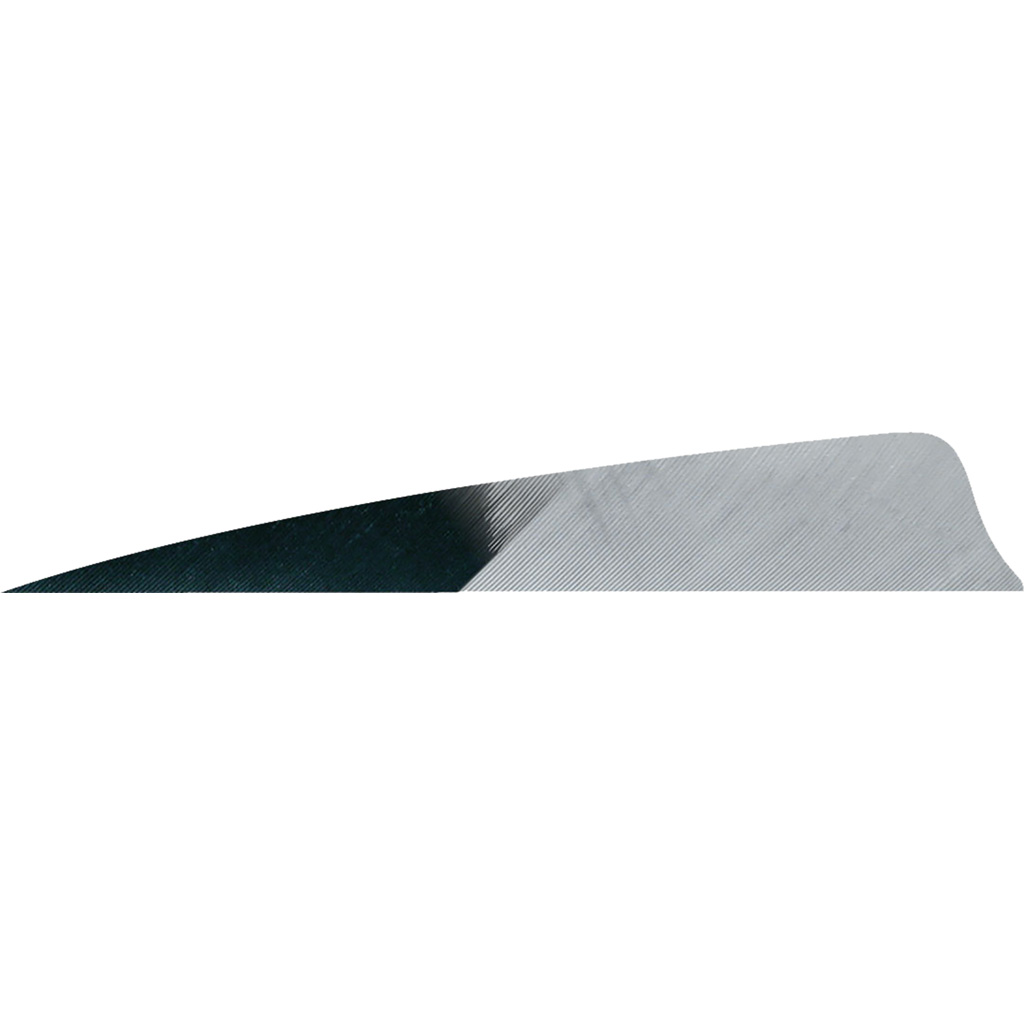 Gateway Shield Cut Feathers 1406985 Review - The Civil War