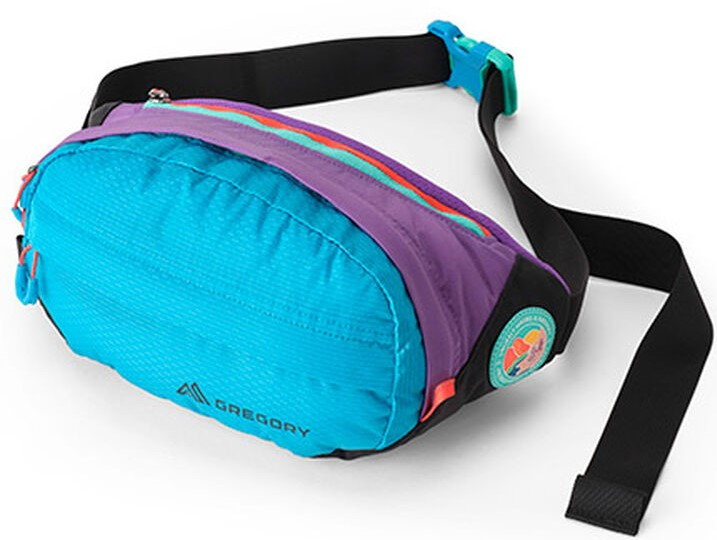 Gregory Nano Waistpack Plus Pack Review - Gun Values Board