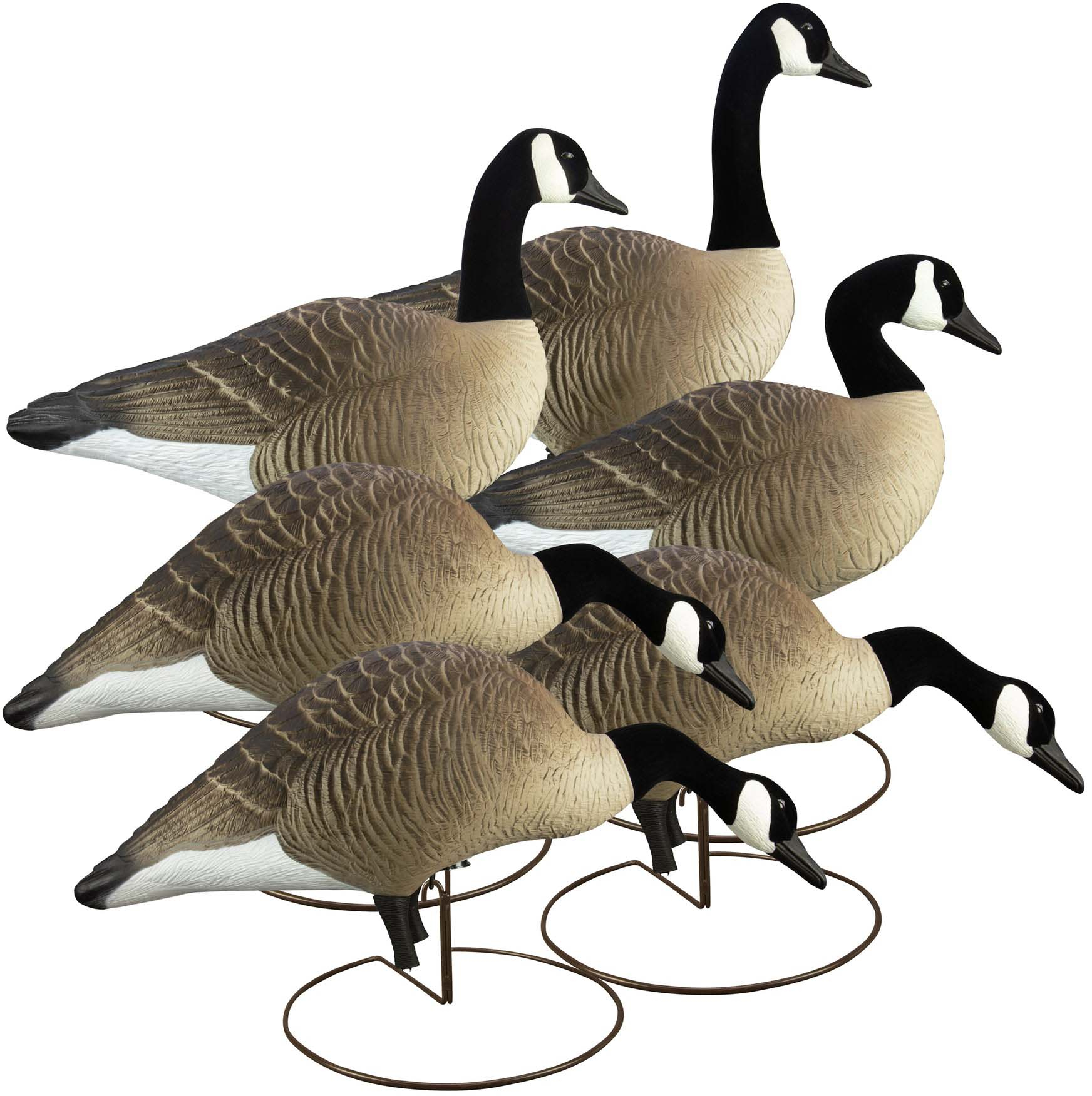 Higdon Outdoors Alpha Magnum Canada Decoy Variety Pack Review - The ...