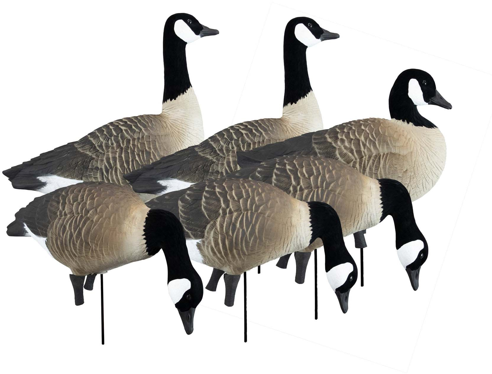 Higdon Outdoors APEX Full-Size Full-Body Variety Pack Decoy - 6 Pack Review - The Professional ...