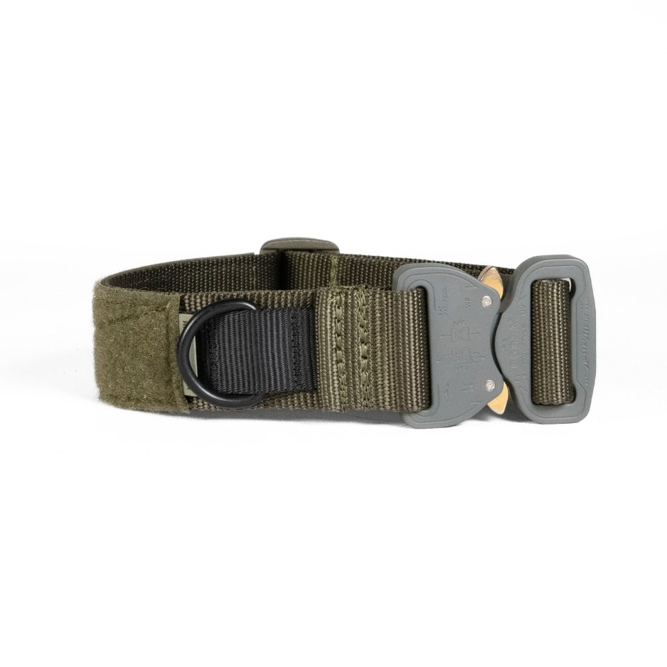 High Speed Gear K9 Collar Review - The Civil War