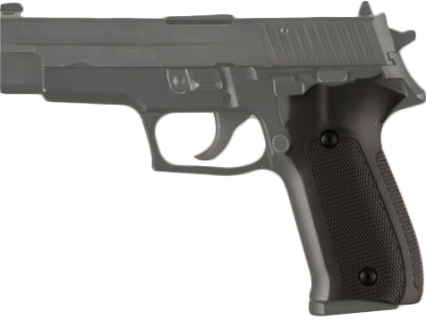 Hogue Handgun Grip for Sig Sauer P228/P229 | 15% Off 4.9 Star Rating w ...