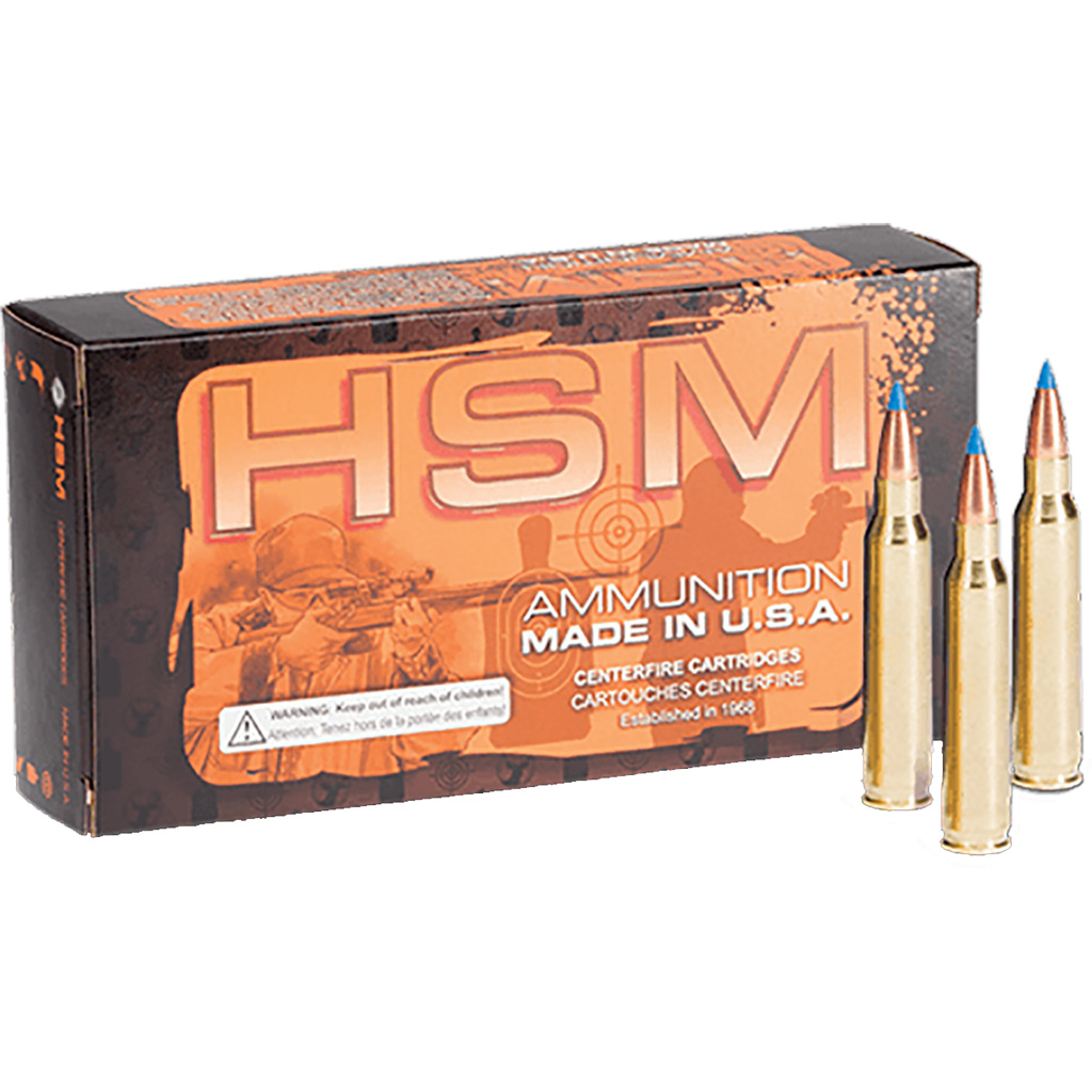HSM Ammunition Varmint .22-250 Remington 64 Grain Power-Point Rifle ...