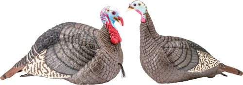 Hunters Specialties Strut-Lite Jake & Feeding Hen Decoy Combo Review ...