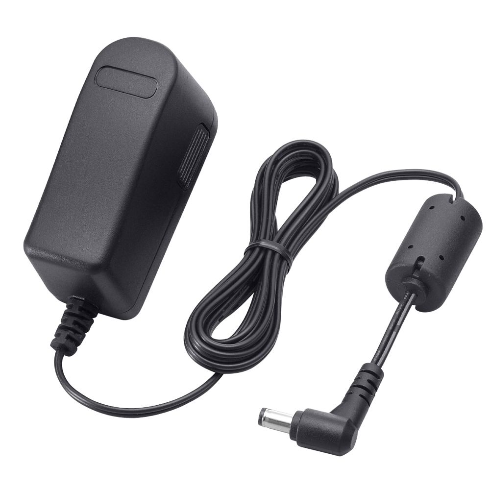 Icom AC Adapter for Rapid Chargers Review - The Civil War