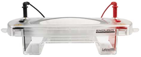 Labnet E1015-CD Casting Dams, for 15 cm Gel System, Case of 2 Review ...