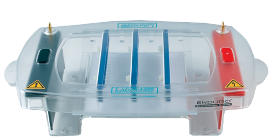 Labnet Enduro 10.10 Horizontal Gel Box Review - The Civil War