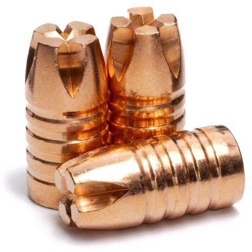 Lehigh Defense Pistol Bullets, 452 Caliber, 300 Grain, Xtreme ...