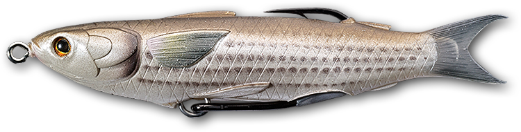 Live Target Mullet Hollow Body Topwater Lure, 6/0 SW Hooks, Floating ...