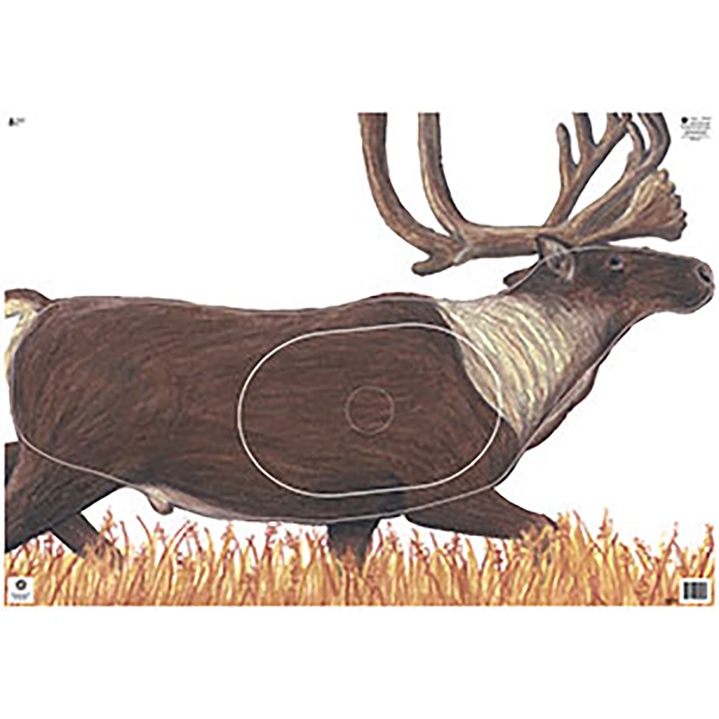 Maple Leaf Press Maple Leaf NFAA Animal Faces Group 1 Caribou Review ...